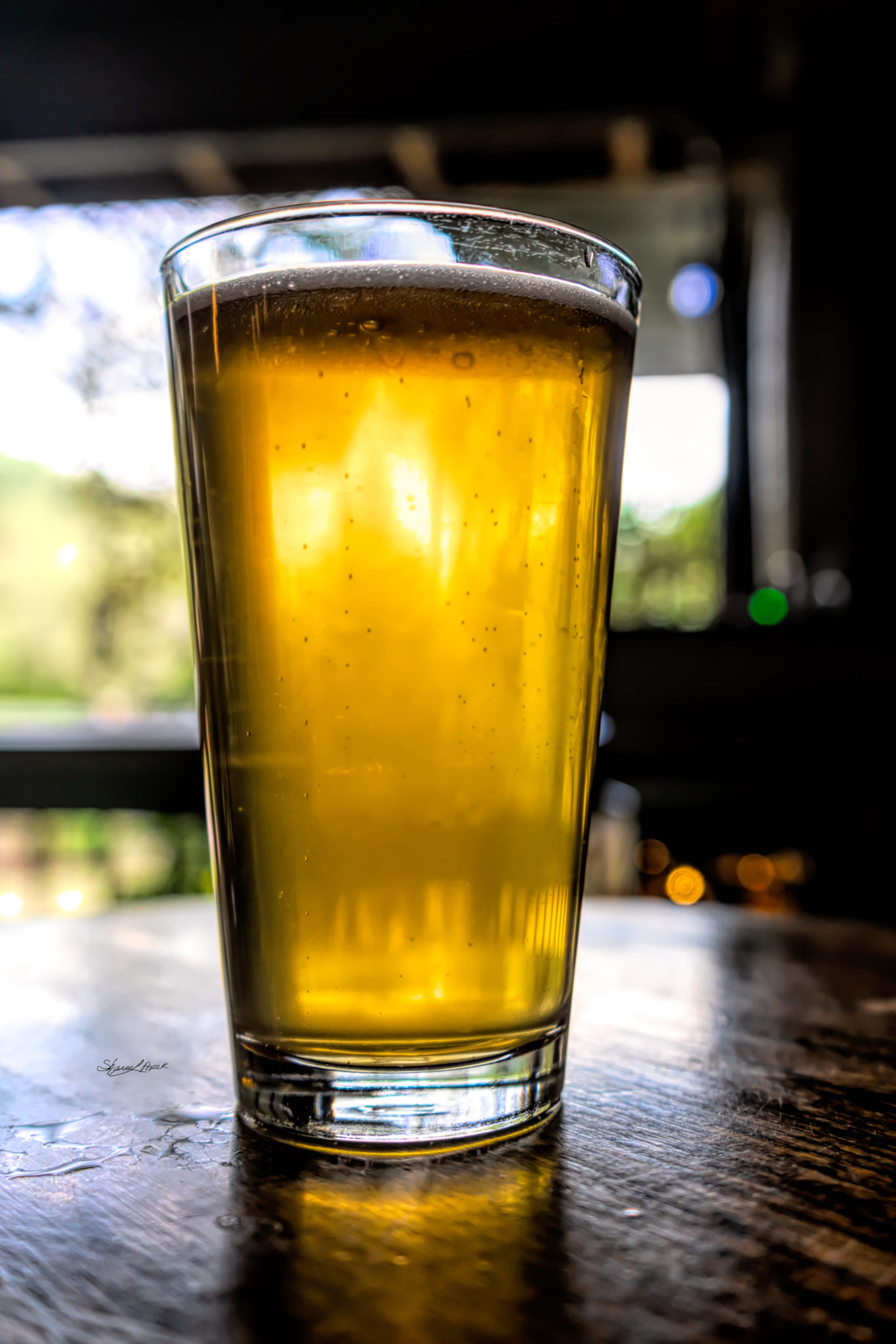 Clinch River Brewing – Alewives and Brewsters